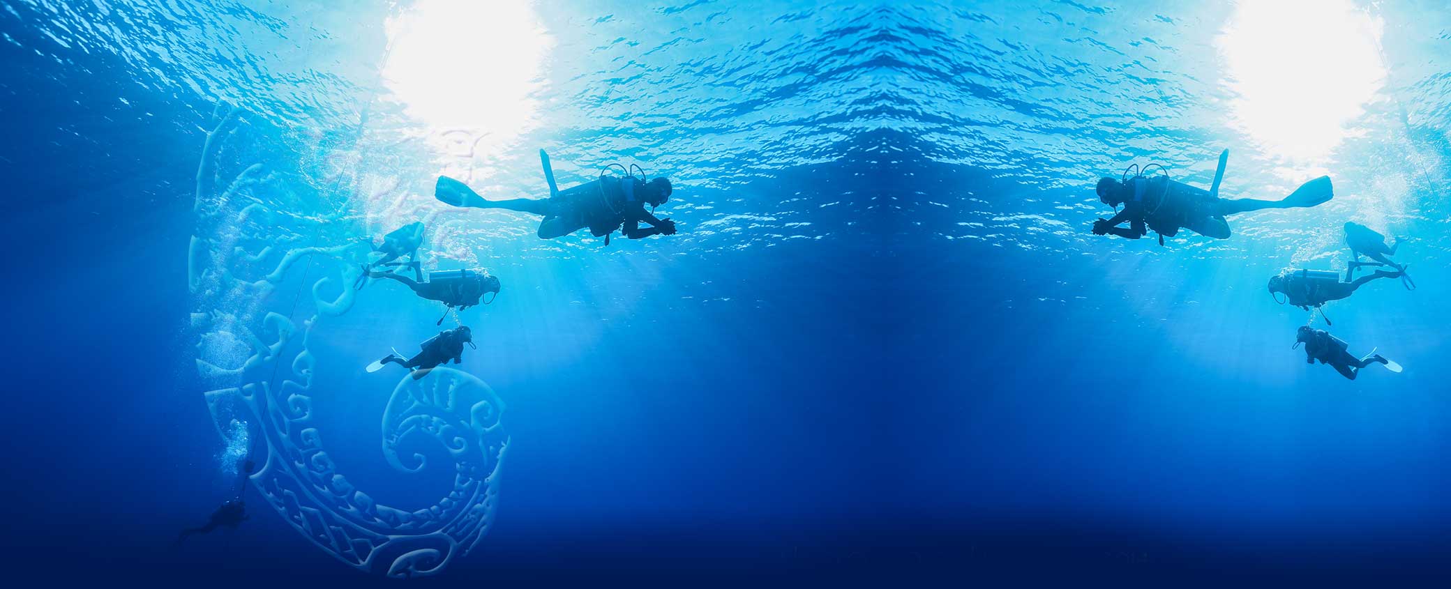 Galerie photos des plongées de Scubapiti Moorea en Polynesie Française